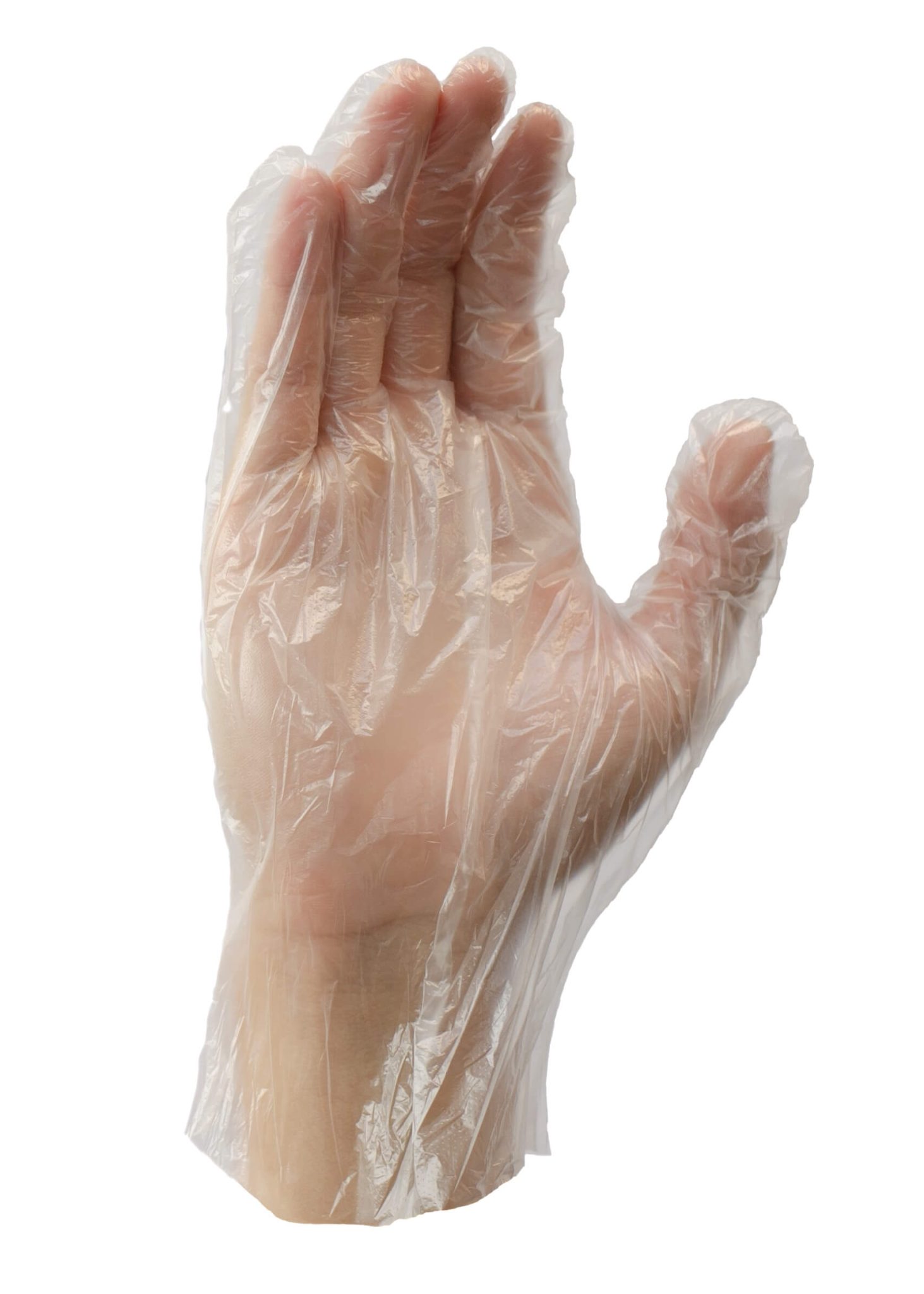 P6505 Series Clear Poly Gloves – Tradex
